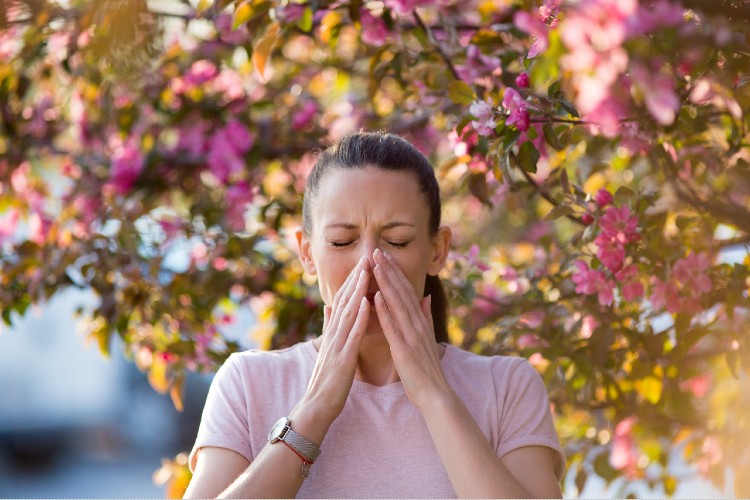 Everything you need to know about hayfever and how to treat your ...